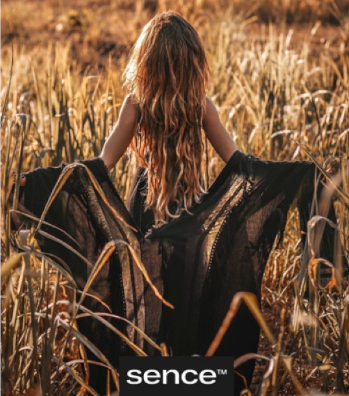 The Feel Good Company